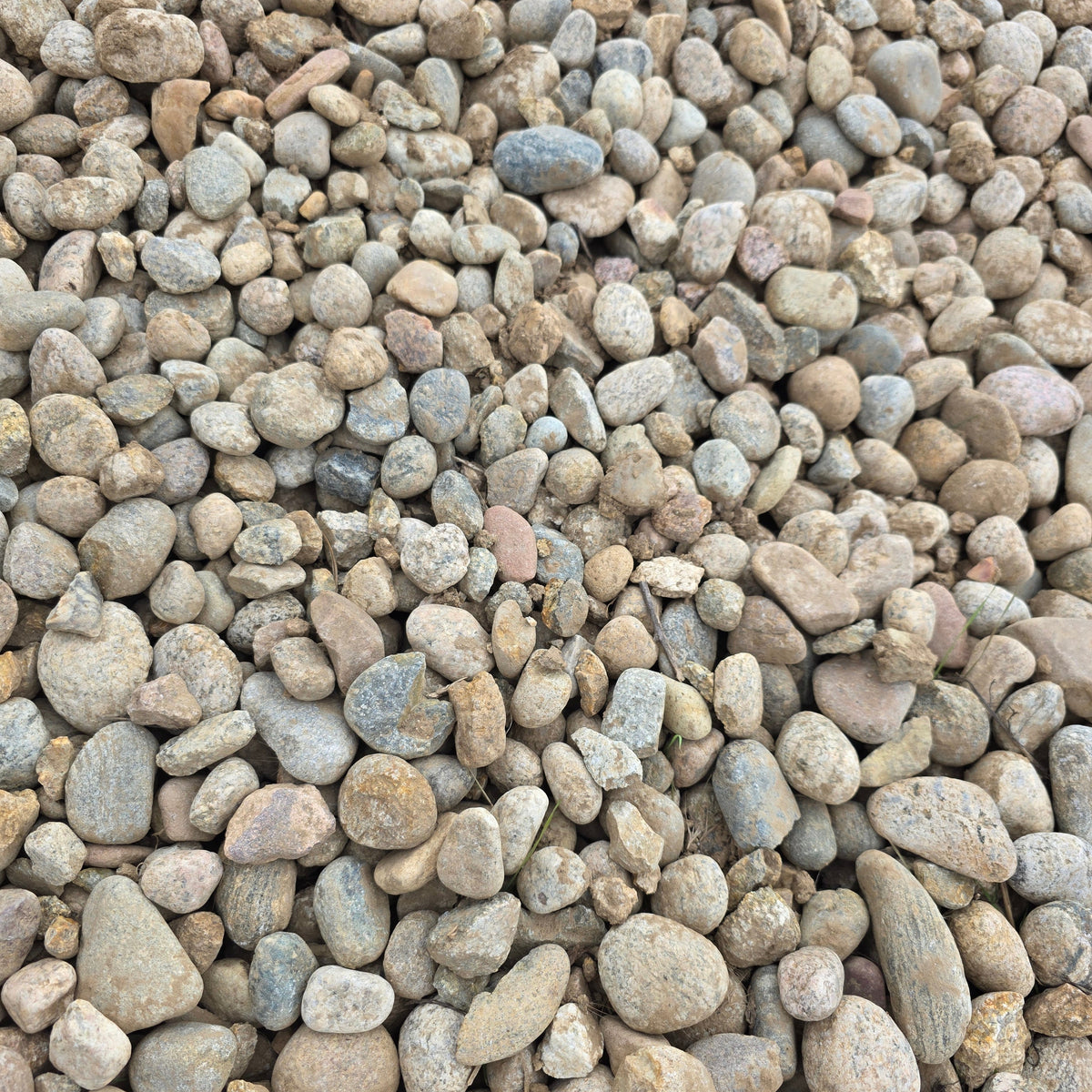 1.5 Grey Cobble River Rock - Per 1 Ton — CLS-SUPPLY