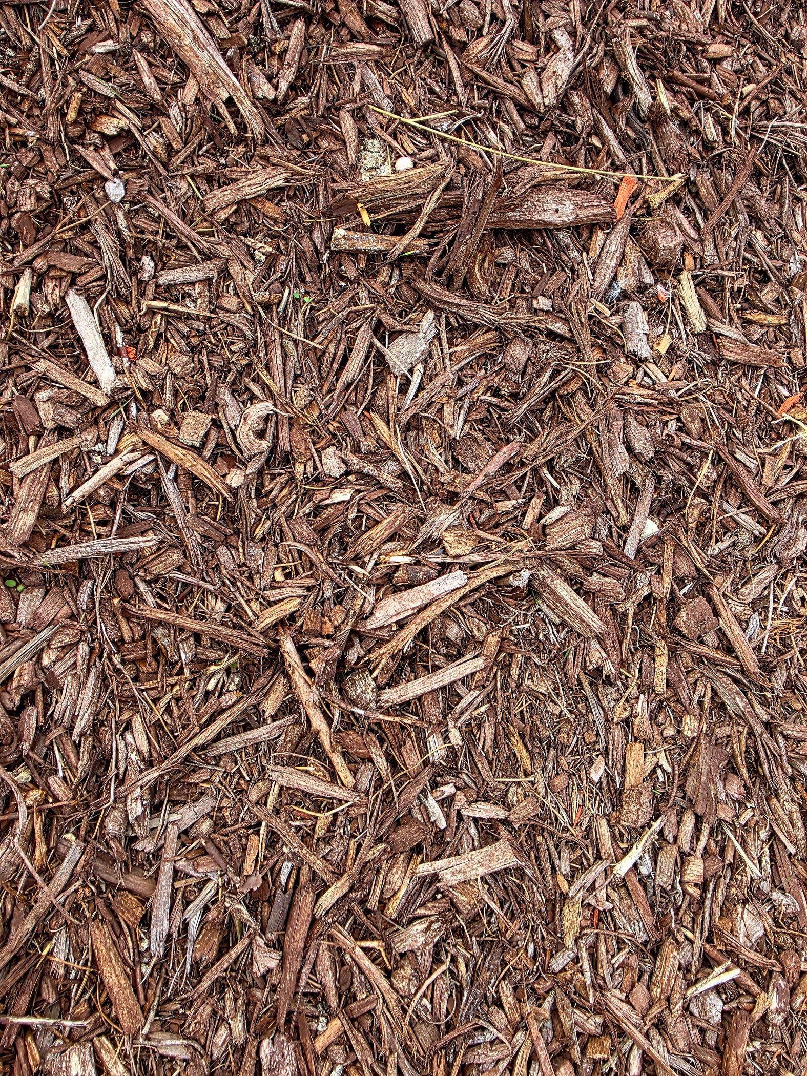 Dyed Brown Mulch - 1 Yard | Colorado Landscape Supply